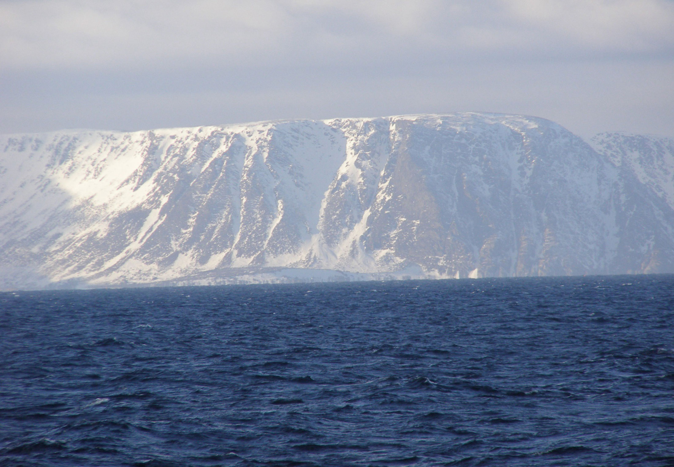 10 km of bloodshed: scientists document largest marine predation event ...