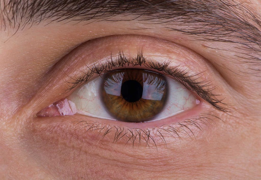 Illustrerad Vetenskap - på upptäcktsfärd i vetenskapen | illvet.se