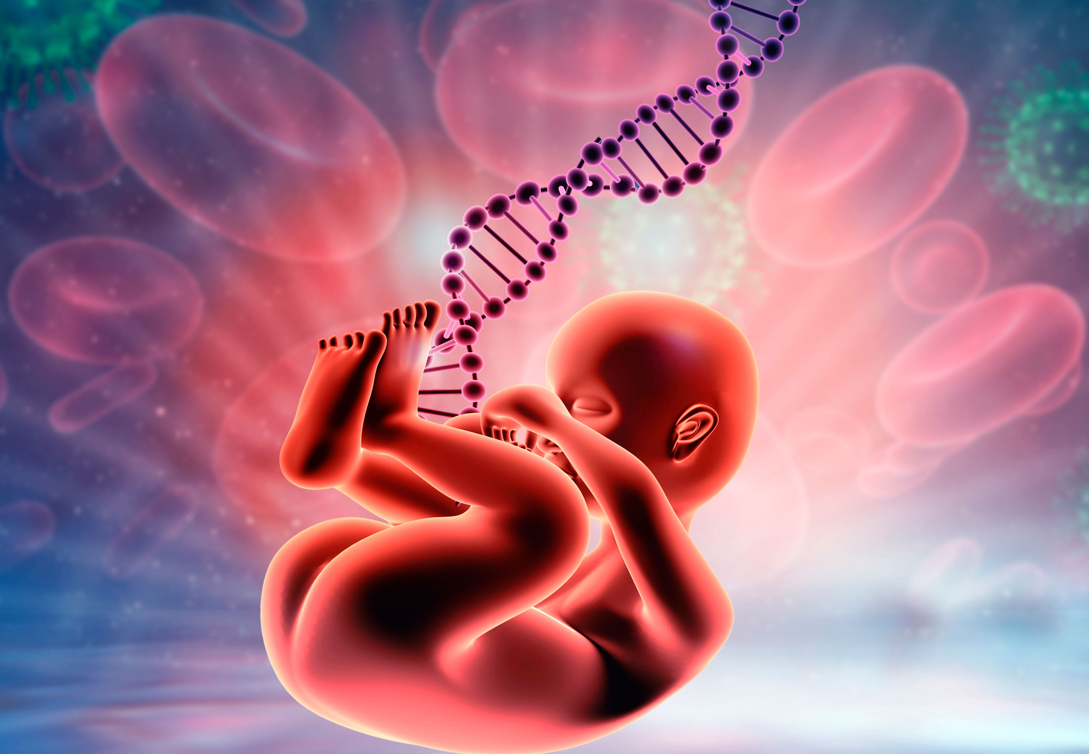 Lave nivåer av genet Trim28 kan føre til to tilstander som påvirker ...