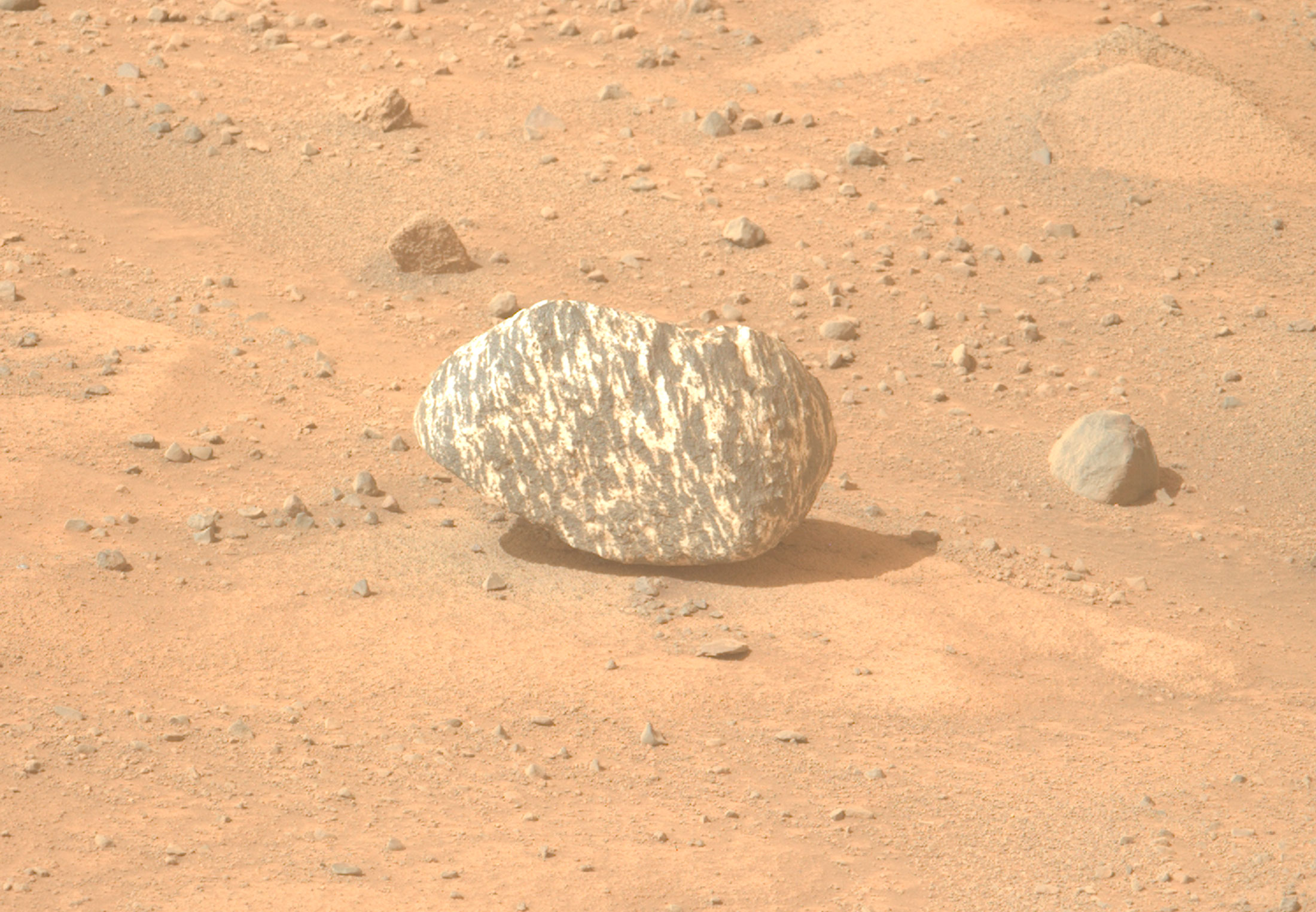 NASA hoopt op meer bijzondere ontdekkingen na een verrassing op Mars ...