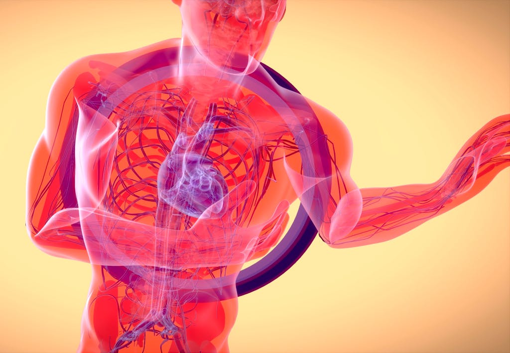 Sundhed - Hvad er sundhed? | illvid.dk