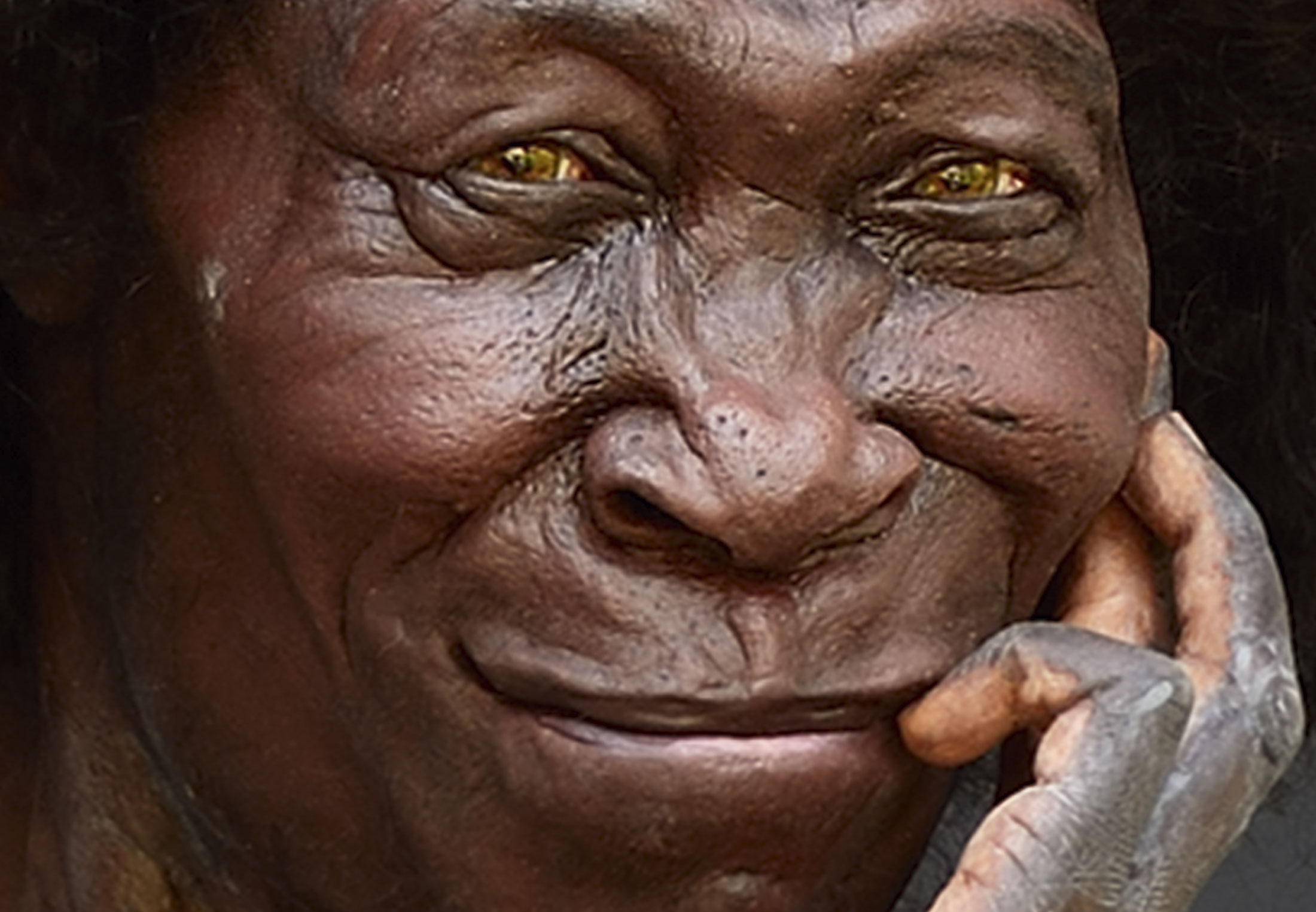 One prehistoric species made us human | scienceillustrated.com