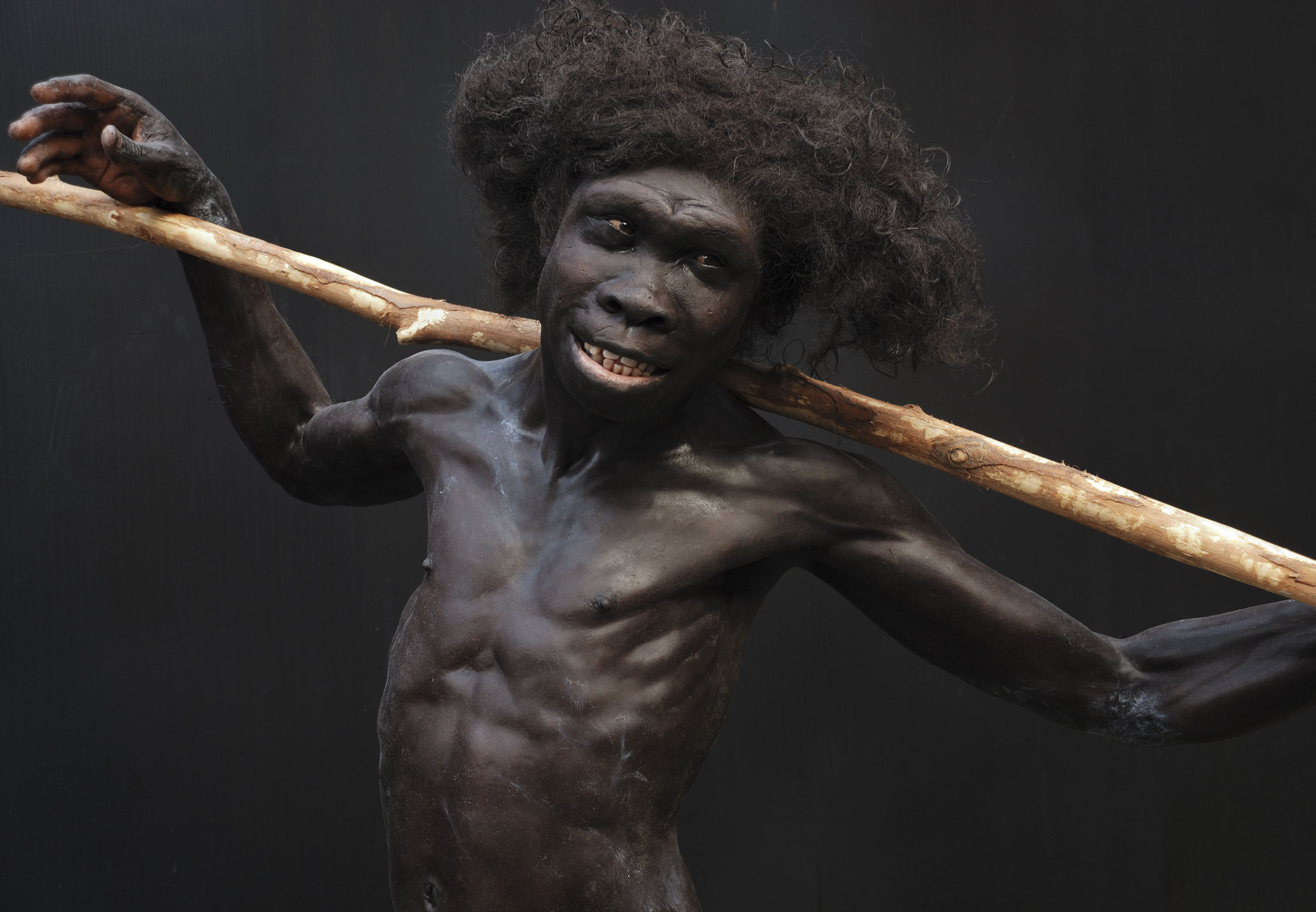 One prehistoric species made us human | scienceillustrated.com