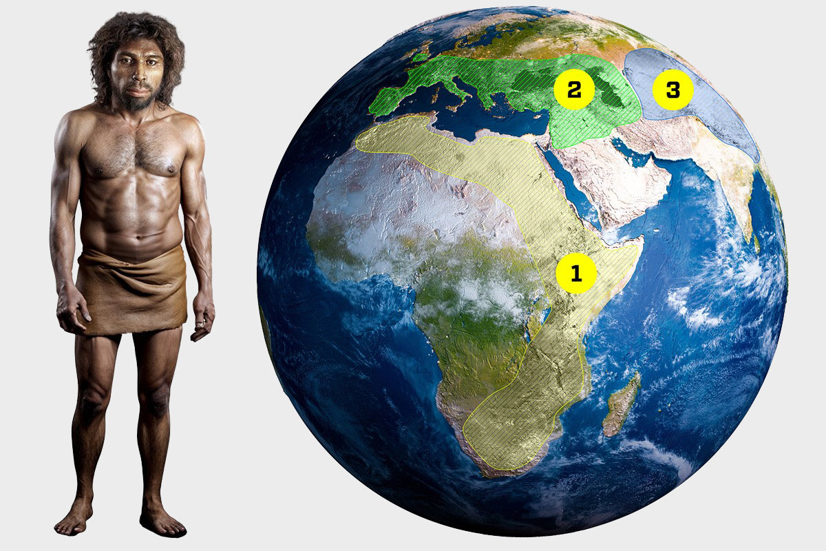 Wanneer kwamen de Neanderthalers naar Europa? | wibnet.nl