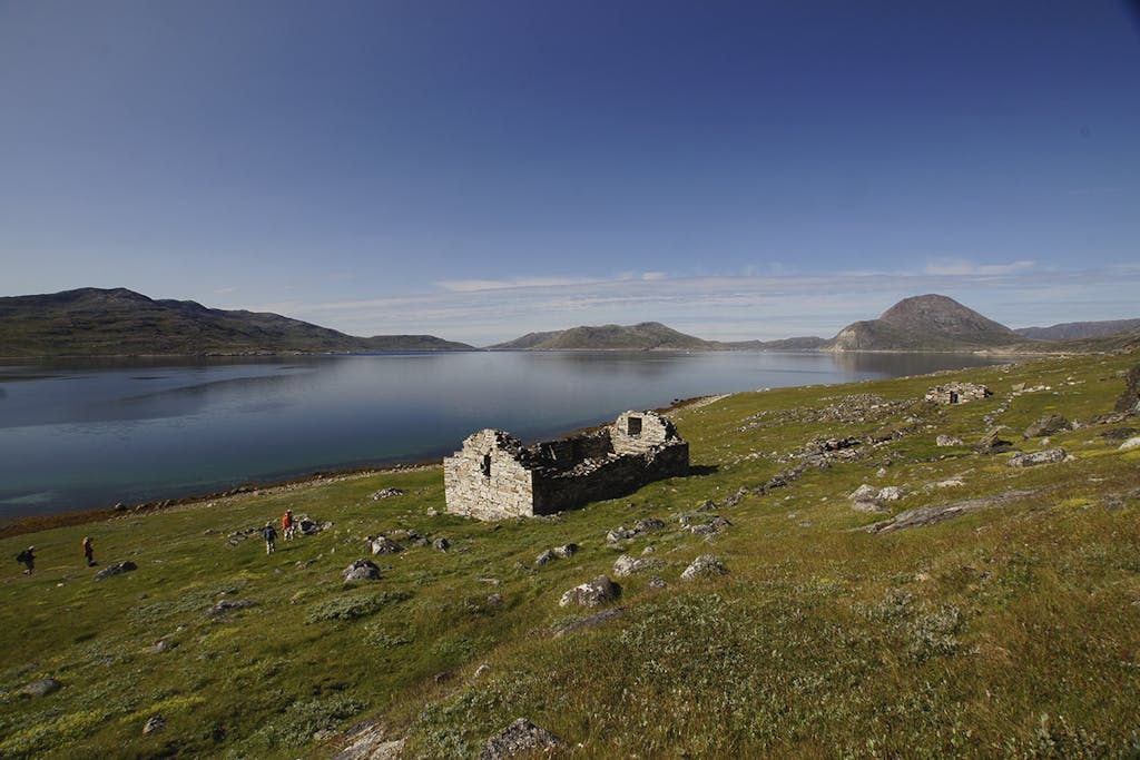 Arktis: Dette må du vite om de nordligste områdene på planeten | illvit.no