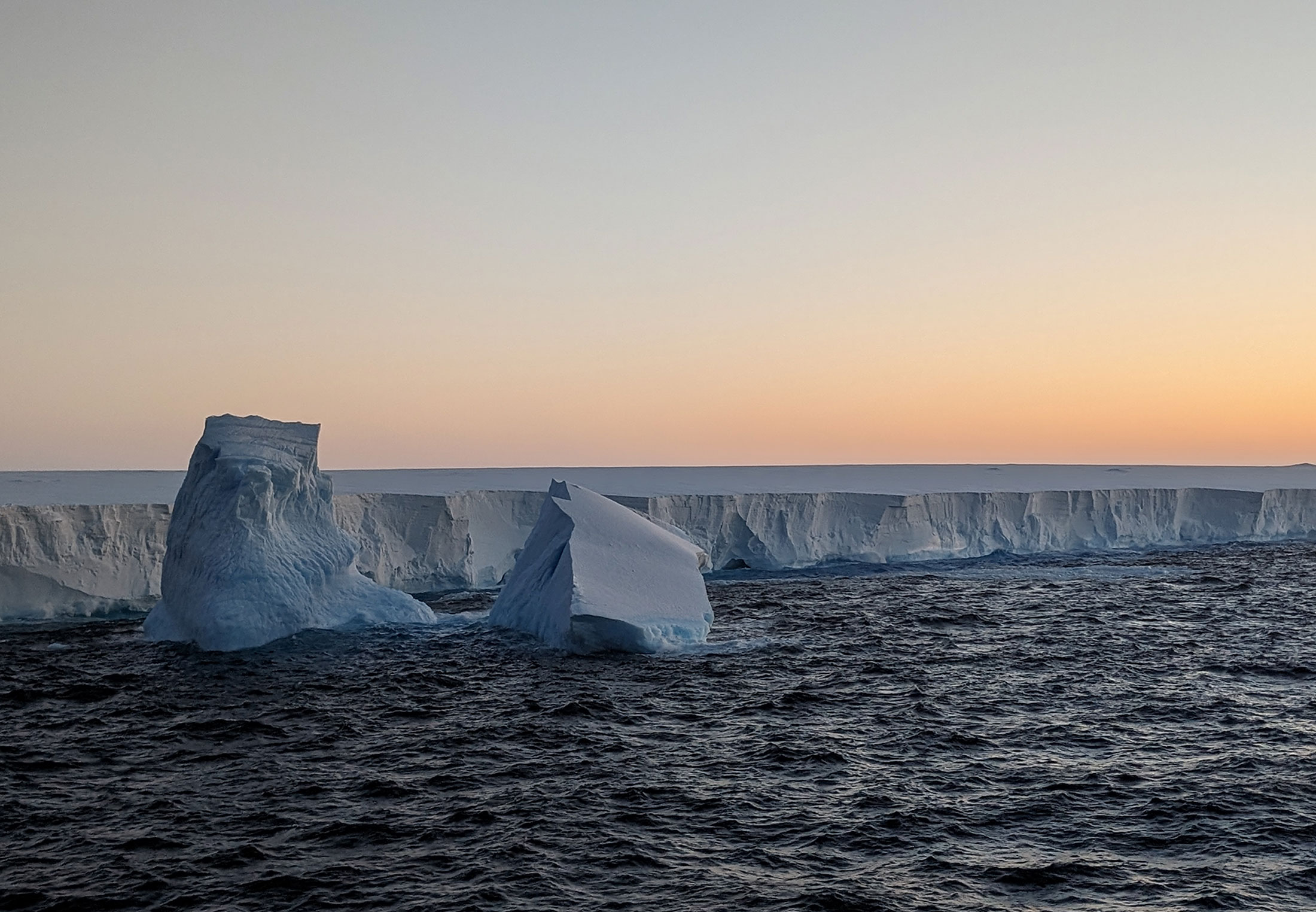 Världens största isberg har satt kurs mot miljontals pingviner | illvet.se