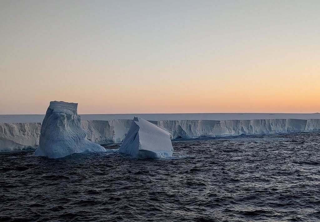 Illustreret Videnskab - gå på opdagelse i videnskabens verden | illvid.dk