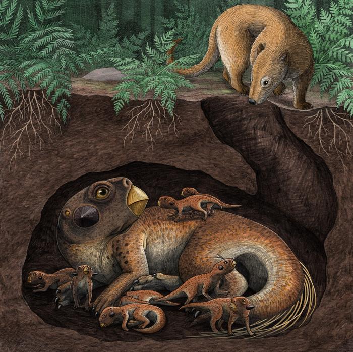 Scientists were wrong: the world's best-preserved dinosaur fossils may ...