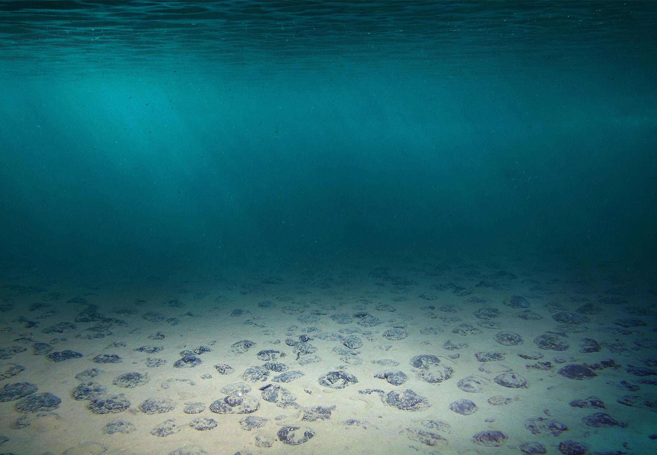 Syre produceras i Stilla havet mörka djup | illvet.se