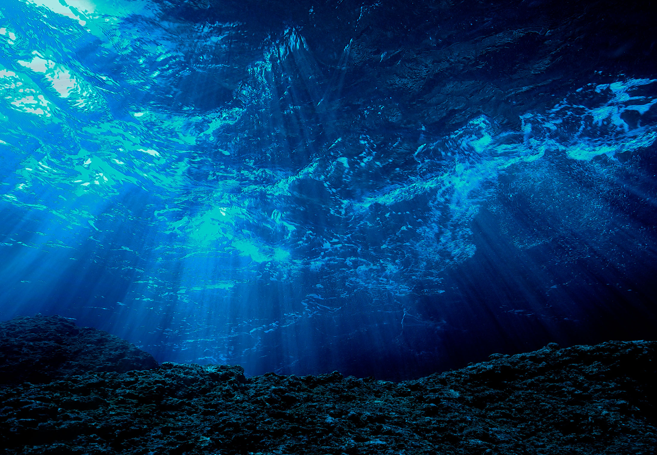 Hvaler forårsaker mystiske lyder ved Marianergropen | illvit.no