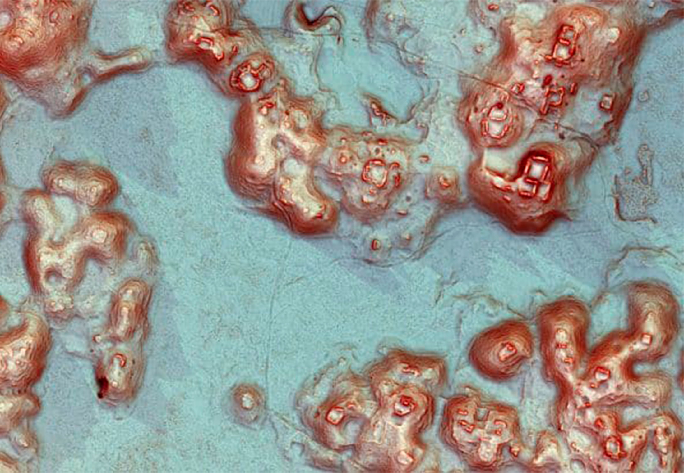 Researchers have found 6,000+ unknown Maya structures ...