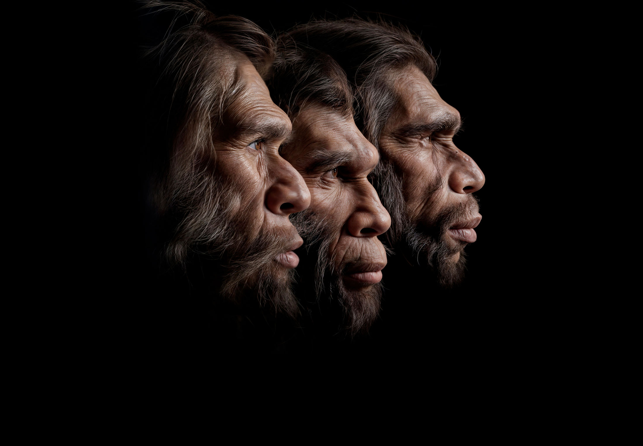 Who are our ancestors? | scienceillustrated.com