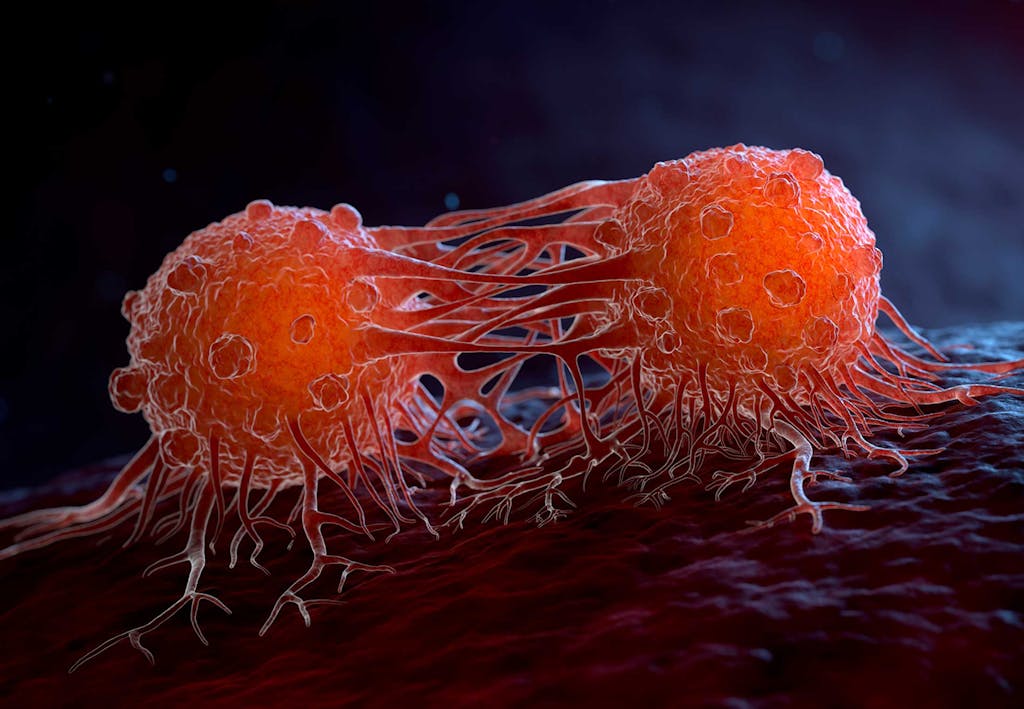 Illustrerad Vetenskap - på upptäcktsfärd i vetenskapen | illvet.se