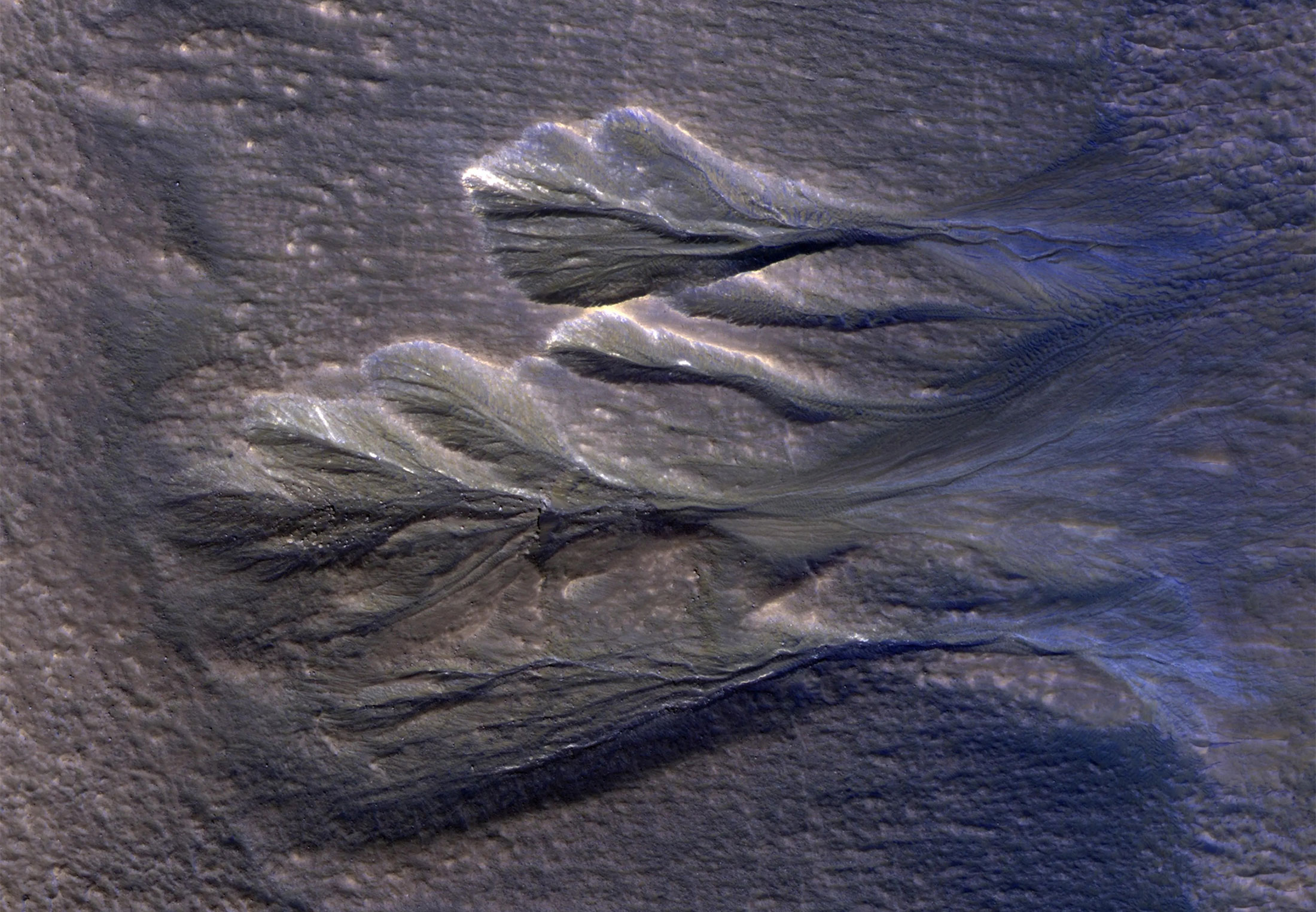 Mars - Mikroskopisk liv kan muligvis trives under isen | illvid.dk