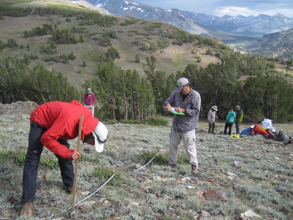 Animals are fleeing climate change | scienceillustrated.com