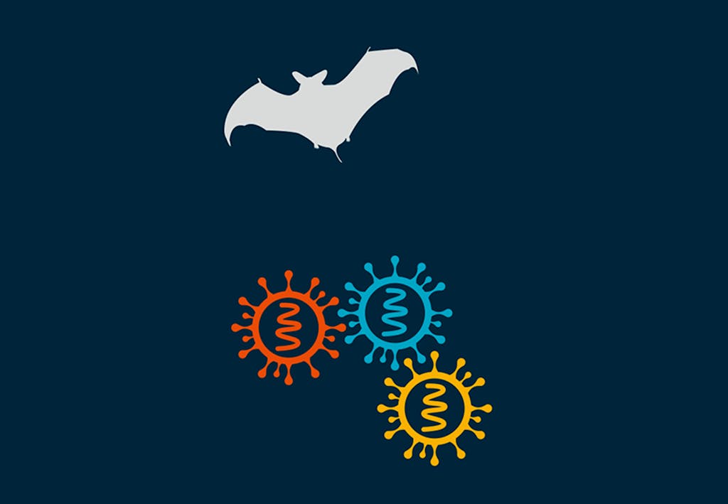 Human infected with bird flu - could be evidence of mutation ...