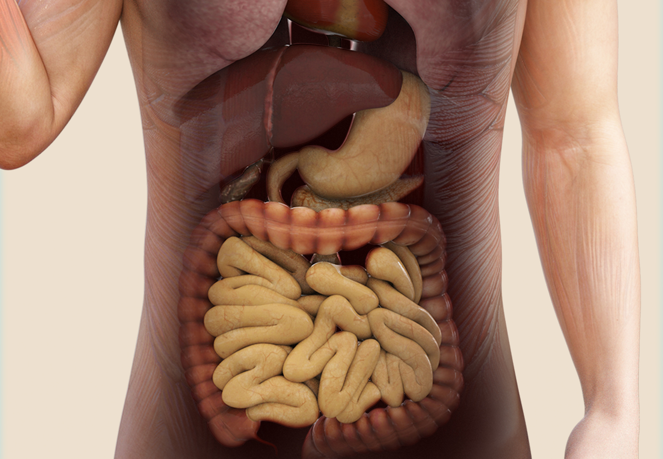 Immunförsvaret hos spädbarn stärks av kroppskontakt med pappan | illvet.se