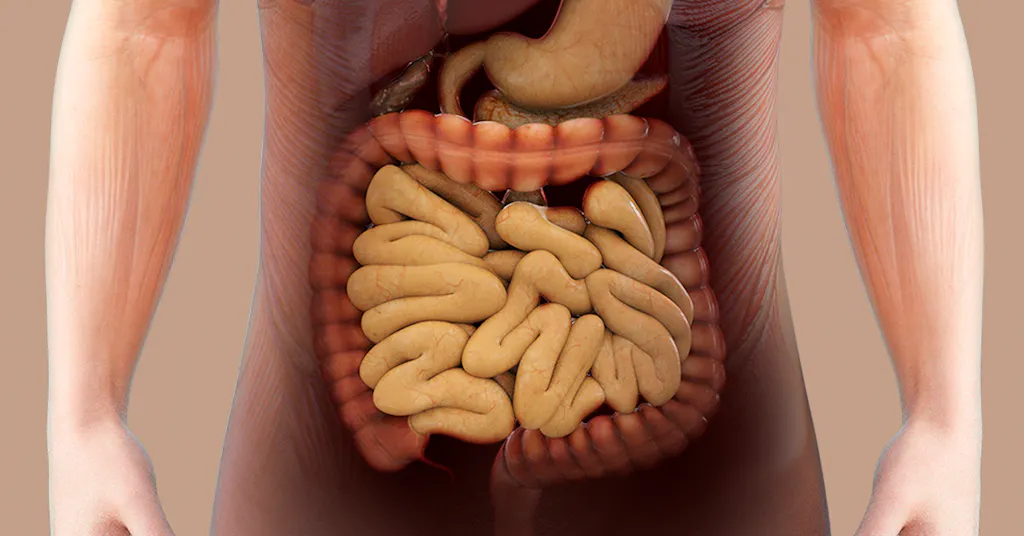 Slik kan du forbedre tarmmikrobiomet med én enkel vane | illvit.no