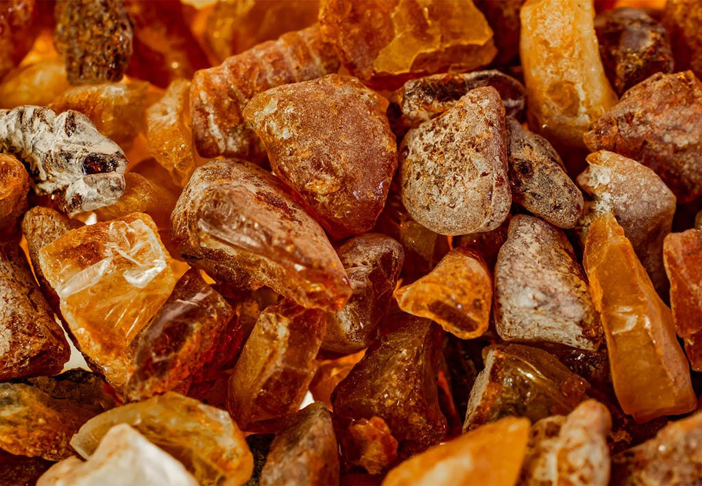 Historische vondst: Voor het eerst barnsteen ontdekt op Antarctica ...