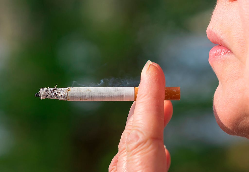 Mennesket | illvid.dk