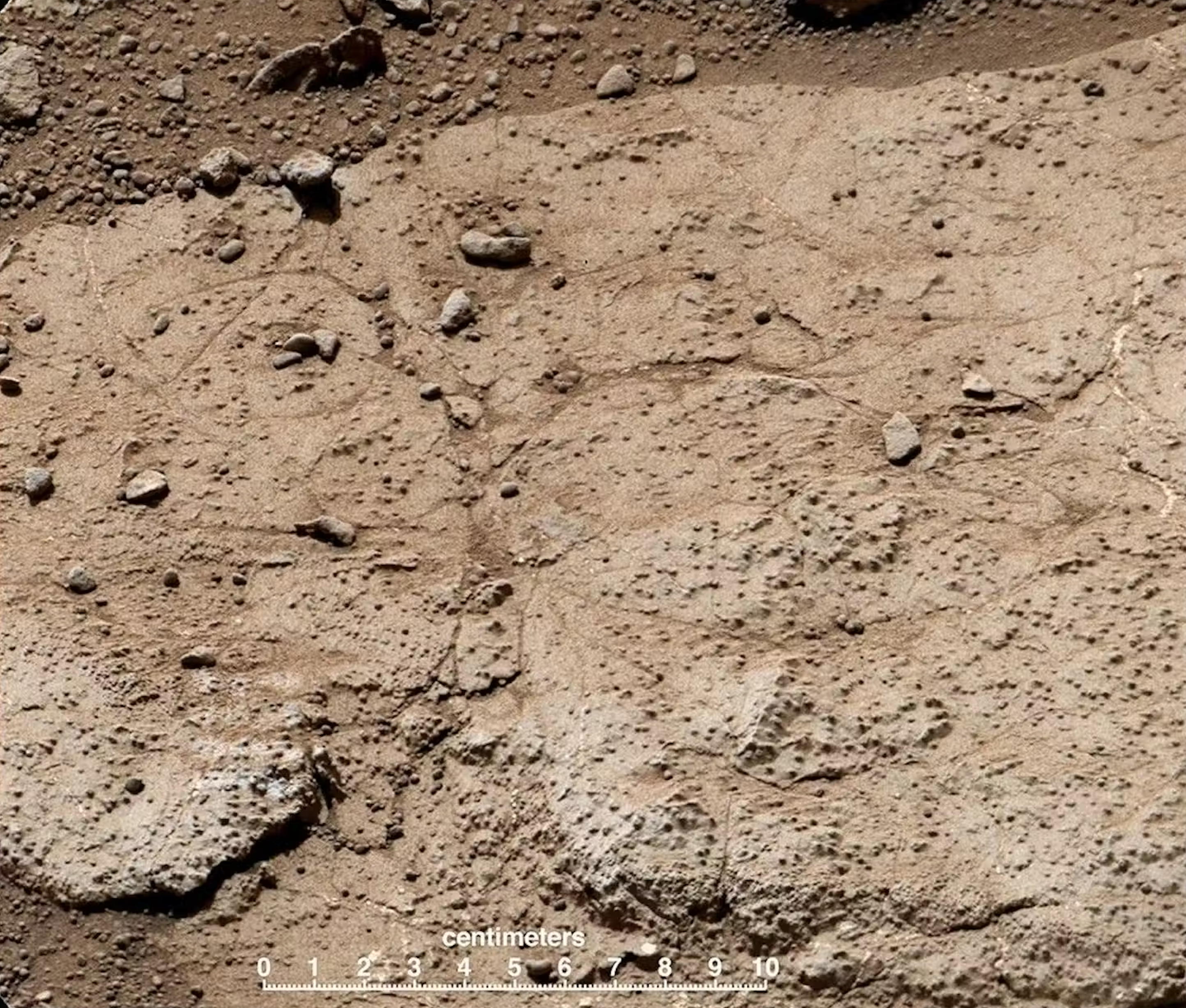 NASA onthult de grootste organische moleculen op Mars | wibnet.nl