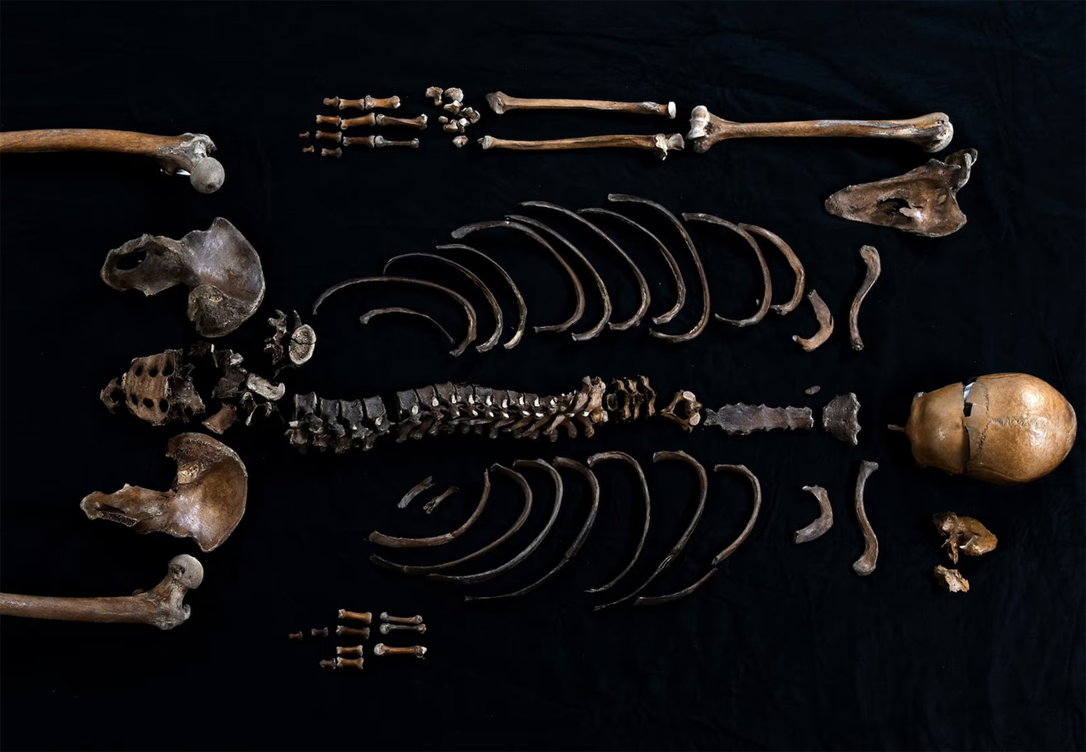 Kvarlevorna av sägenomspunnen medeltida man har identifierats i norsk ...