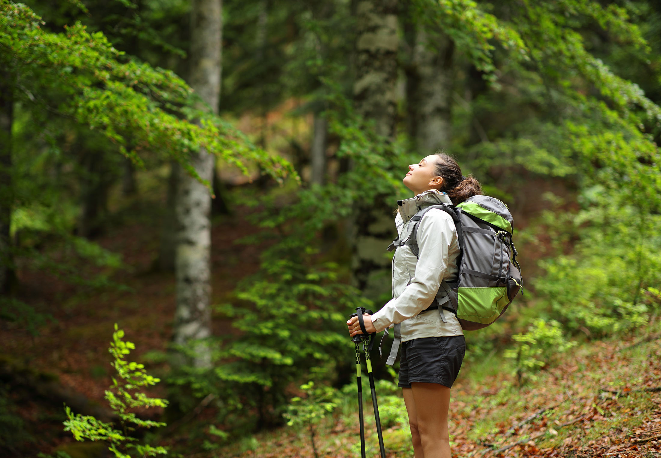 Hvor sunt er det med en tur i skogen? | illvit.no