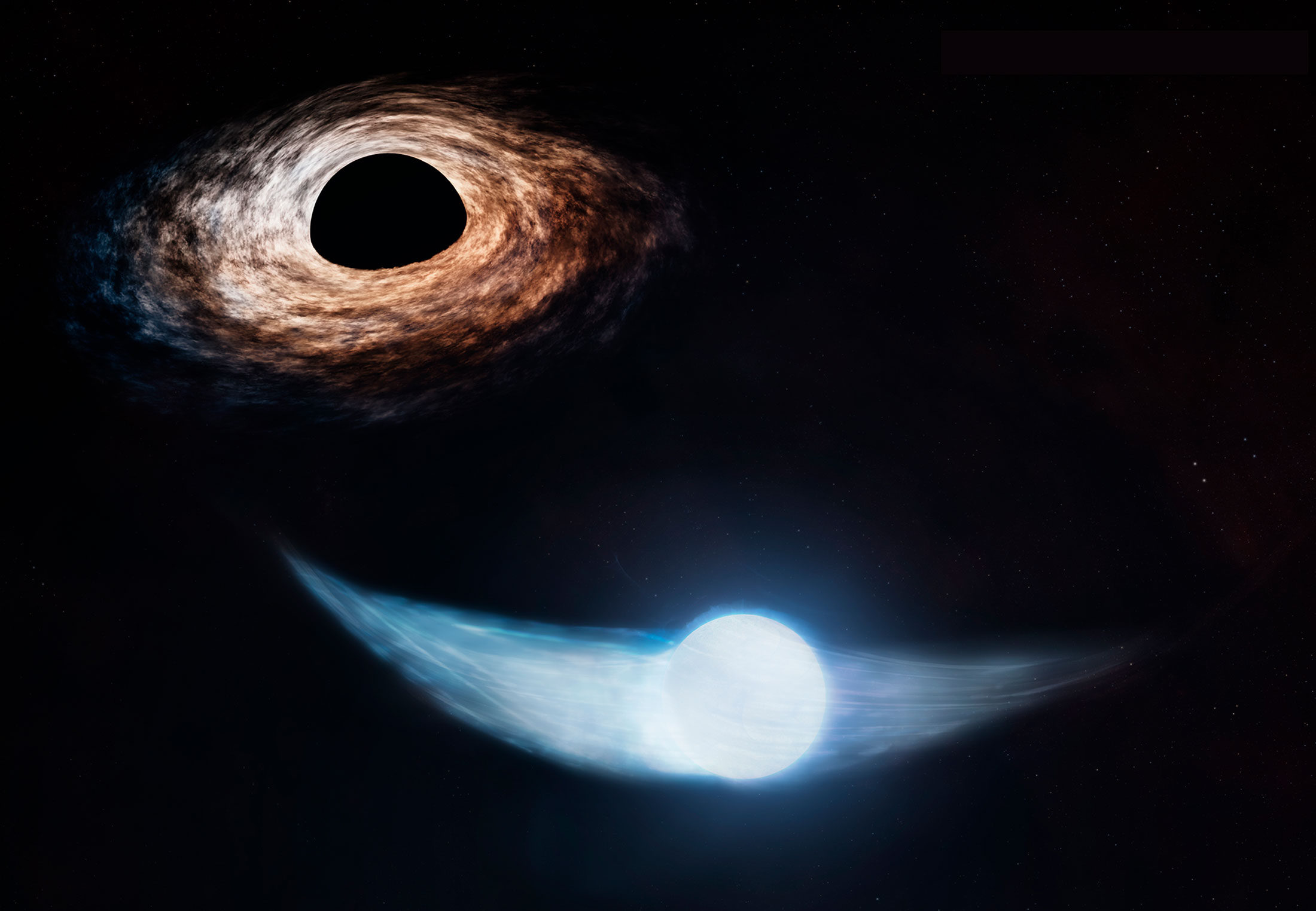 Sorte huller spiser af stjerne hver 3,5 år | illvid.dk