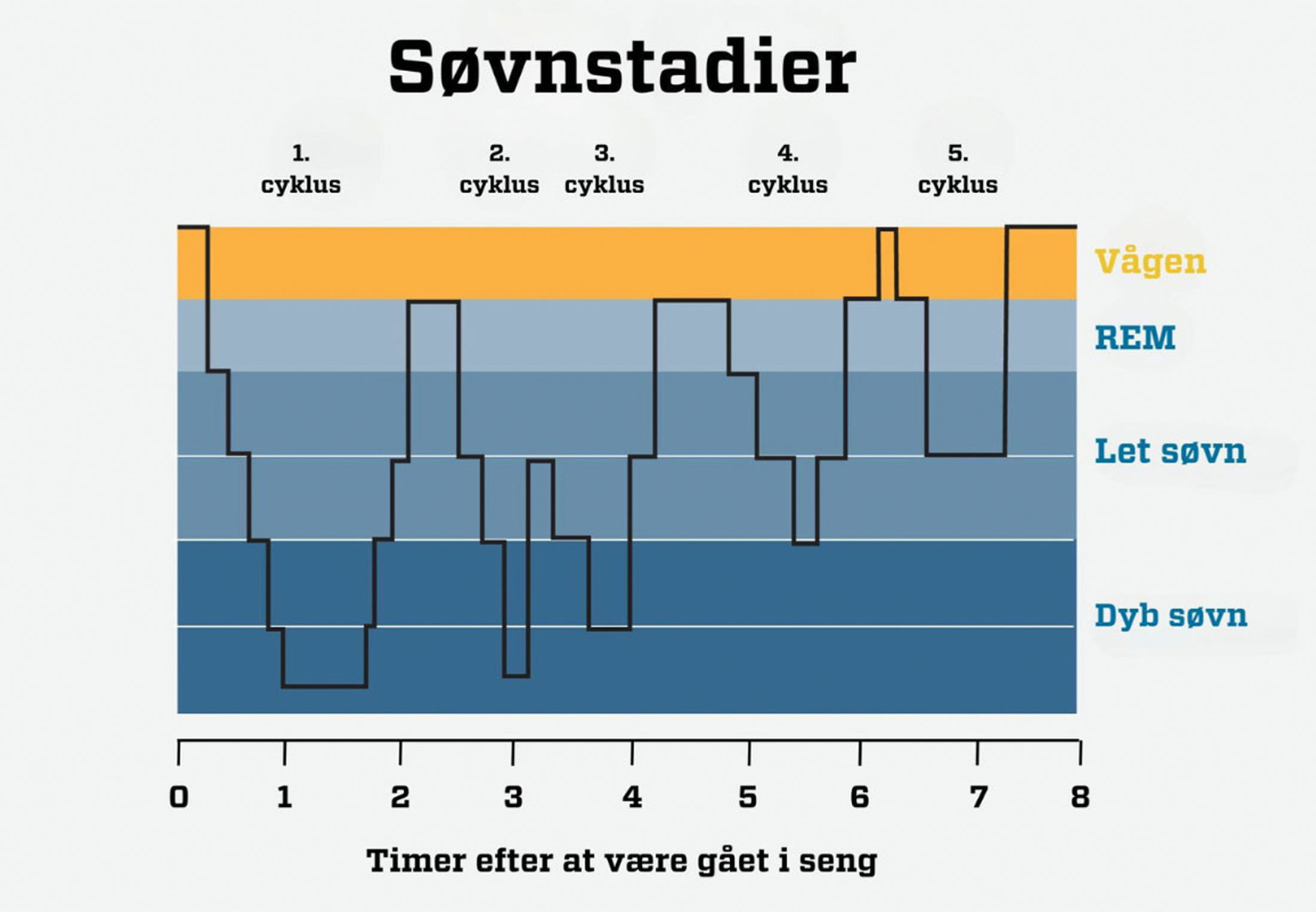 Hon har forskat i sömn i 15 år: Detta undviker hon före läggdags ...