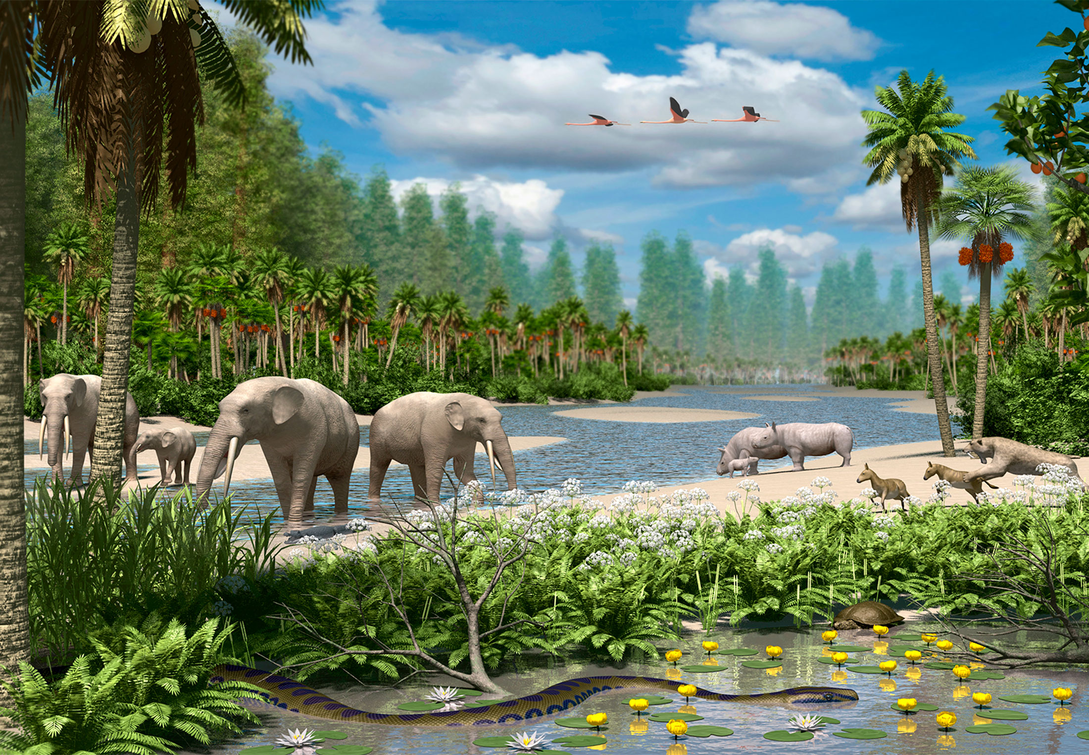 Meer landen zouden in de toekomst een klimaat als in de tropen kunnen ...