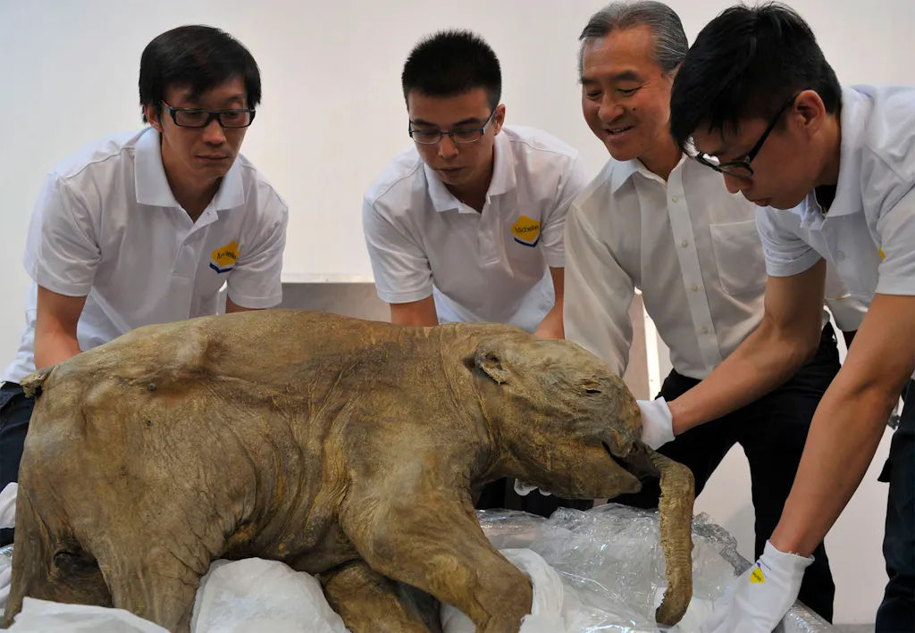 Humans | scienceillustrated.com