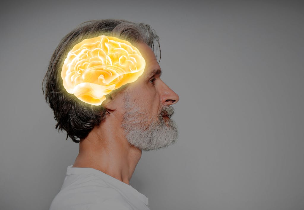 Gezondheid – wat is gezondheid? | wibnet.nl