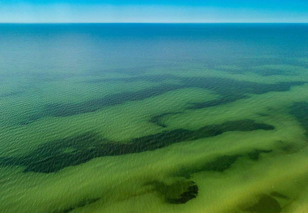 Jordens mikroorganismer er udryddelsestruede | illvid.dk