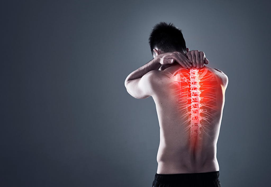 Gezondheid – wat is gezondheid? | wibnet.nl