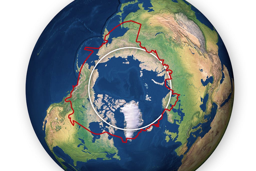 Arktis: 7 faktaa maapallon pohjoisimmasta kolkasta | tieku.fi