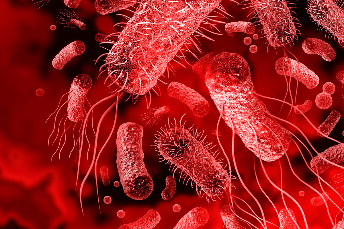 Mitä penisilliini on? | tieku.fi