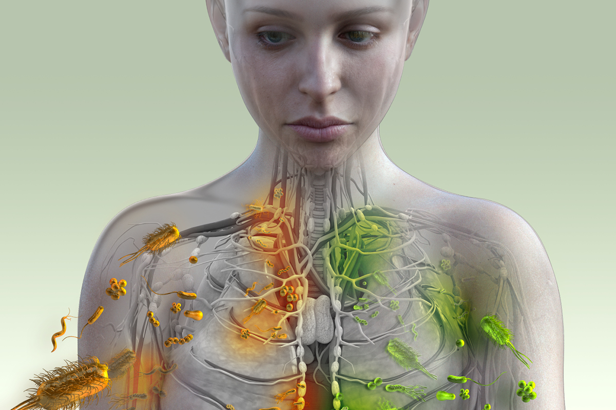 New comprehensive mapping reveals that bacteria control your body ...