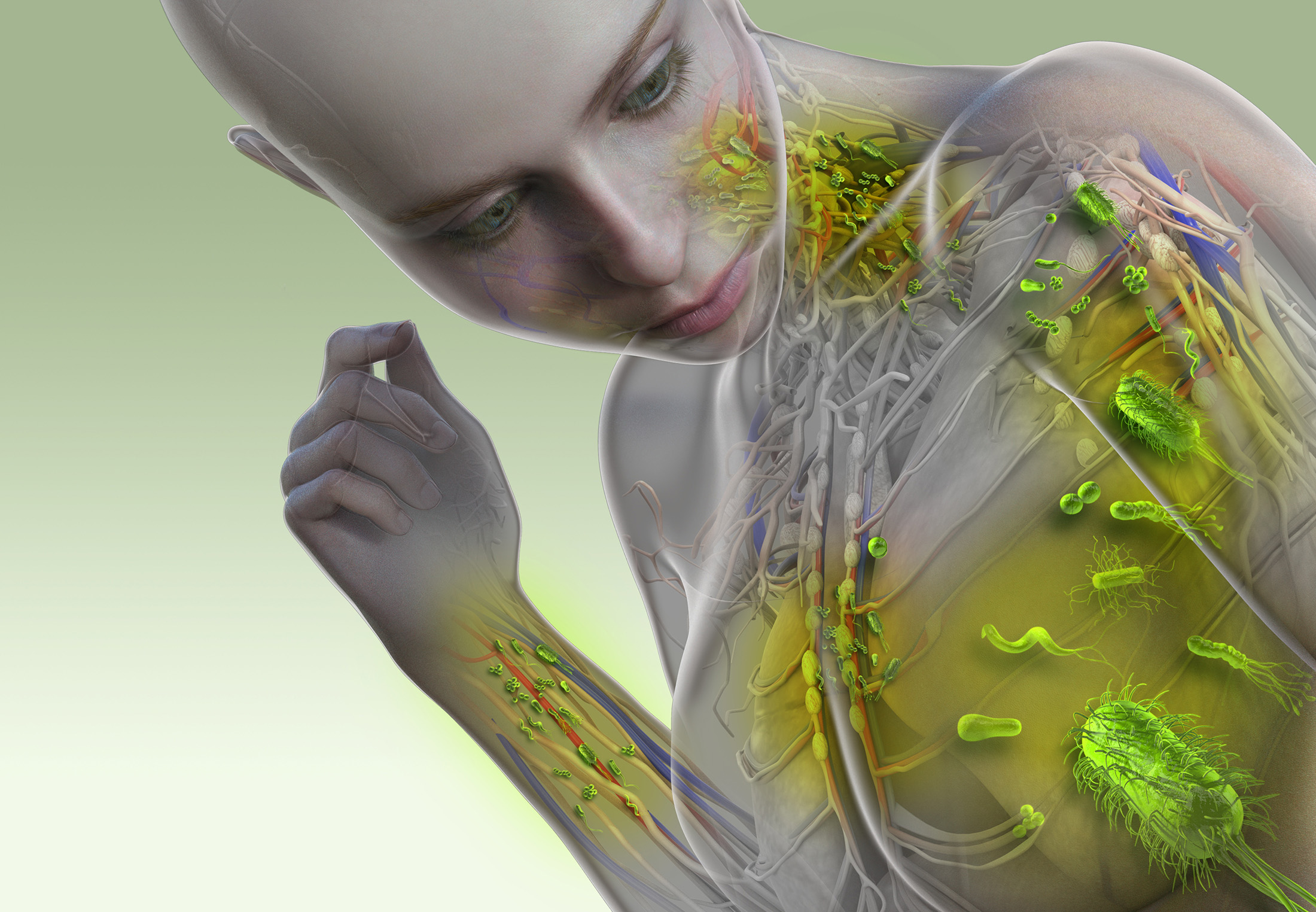 New comprehensive mapping reveals that bacteria control your body ...