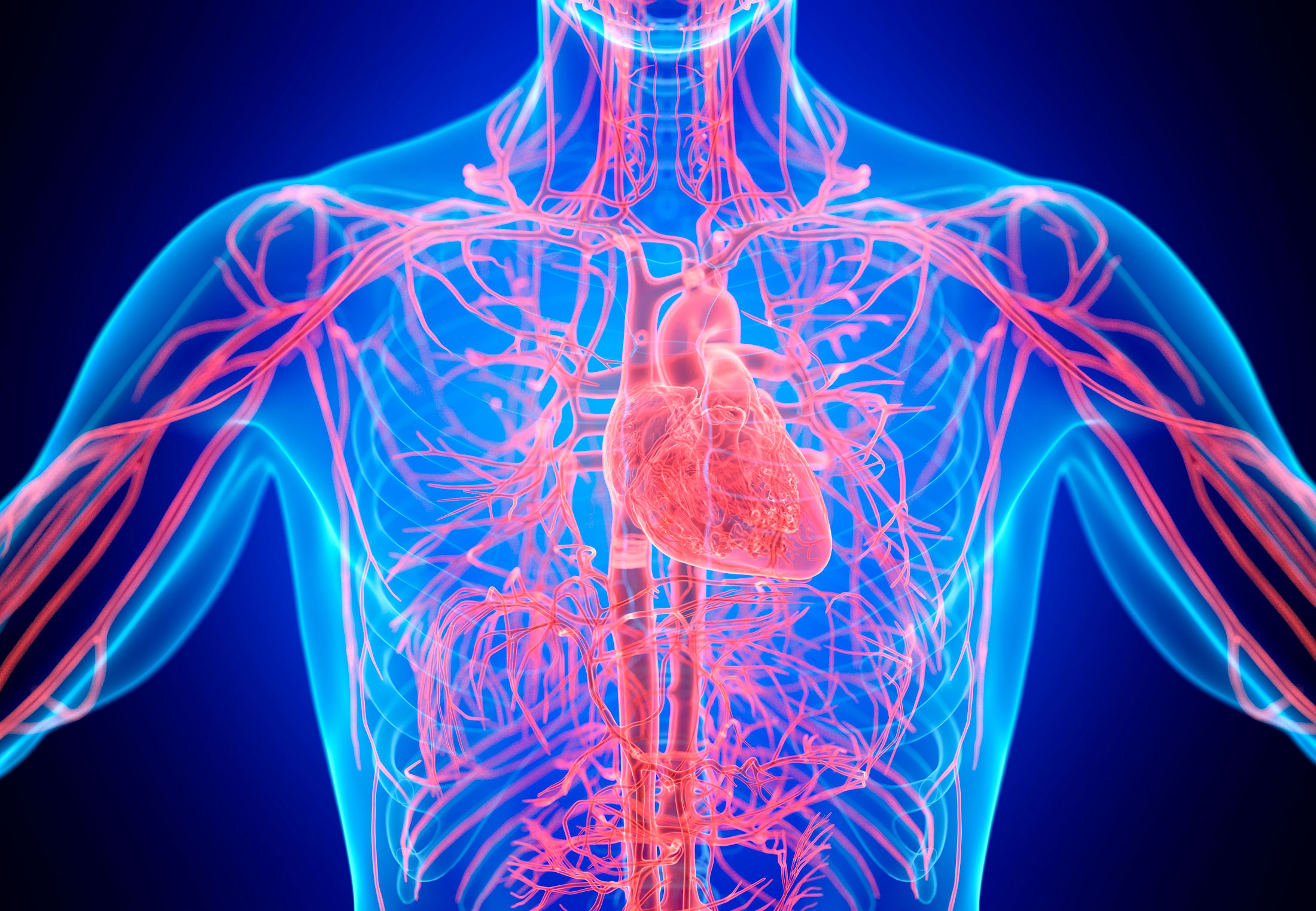 Stor studie: Populær drikk kan øke risikoen for hjertesykdom | illvit.no