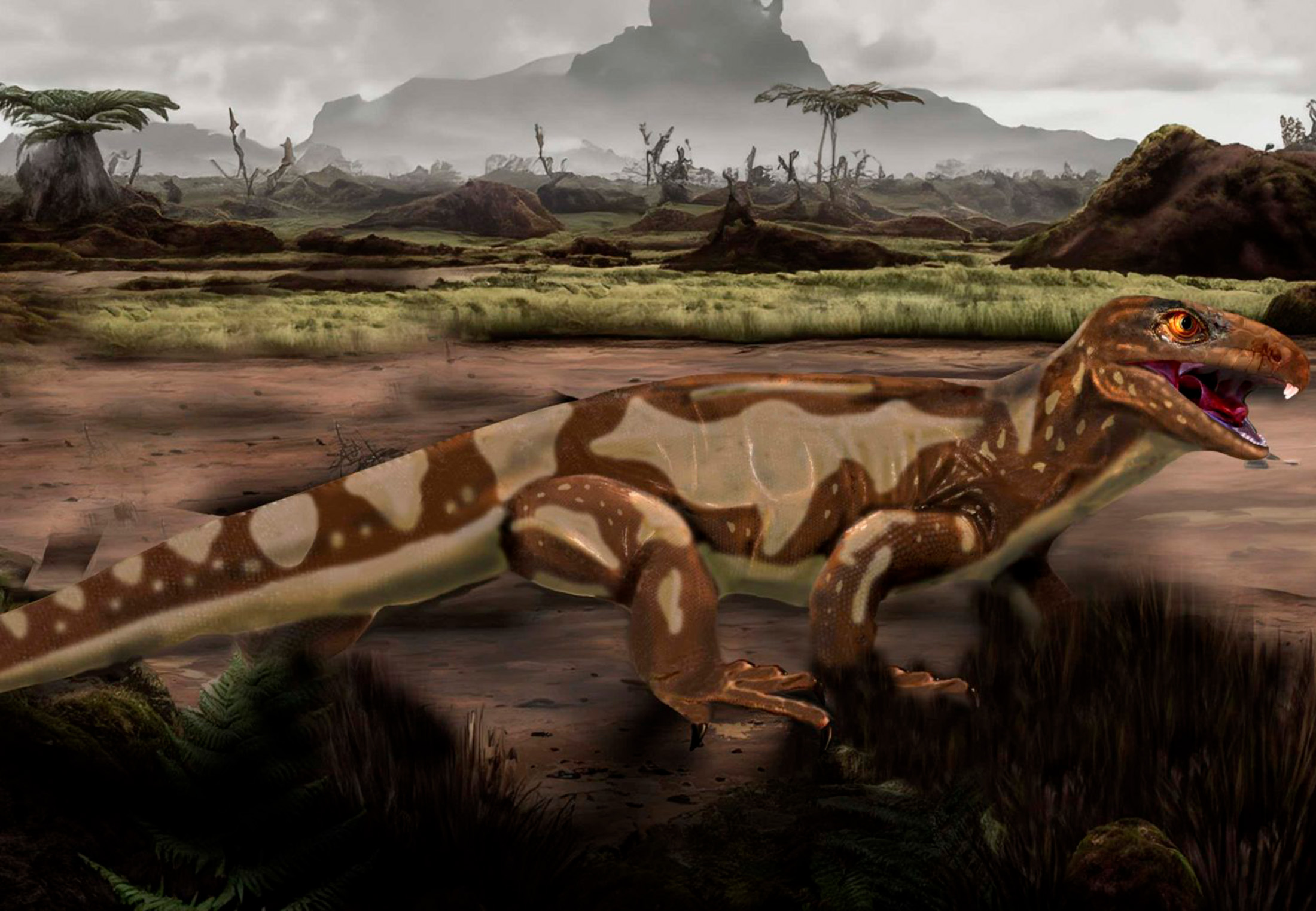 Världens äldsta bit hud har hittats | illvet.se