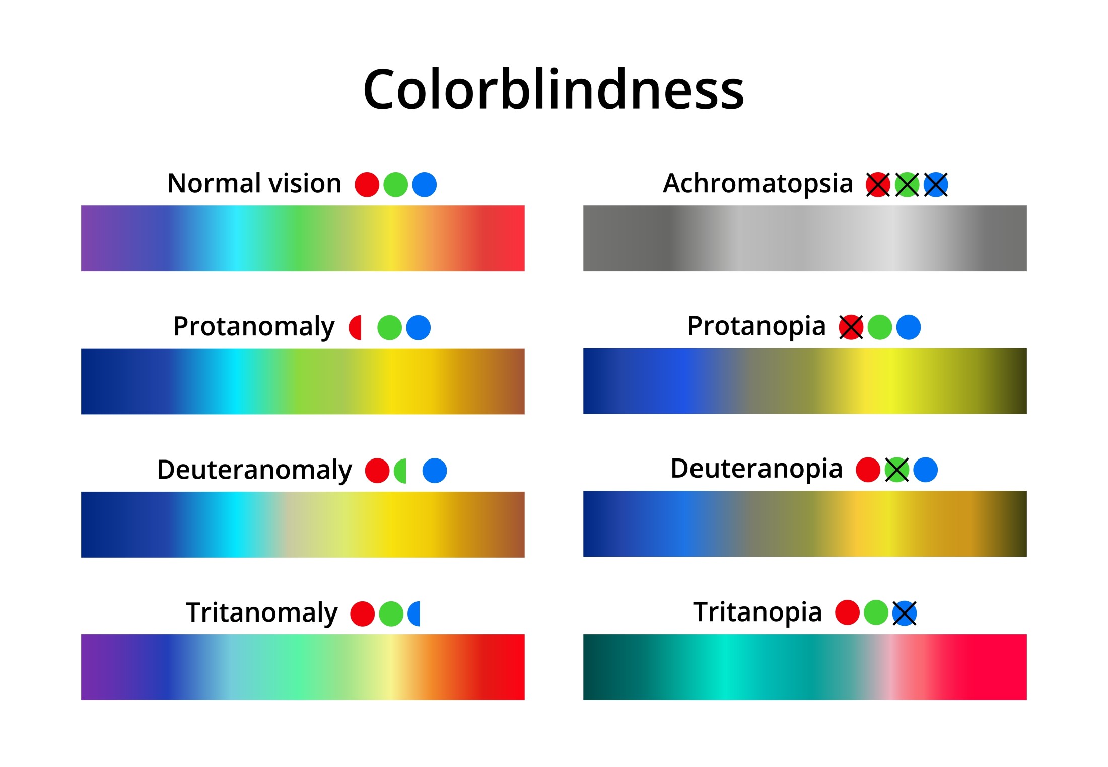 Colour blindness: how does a colour blind person see ...