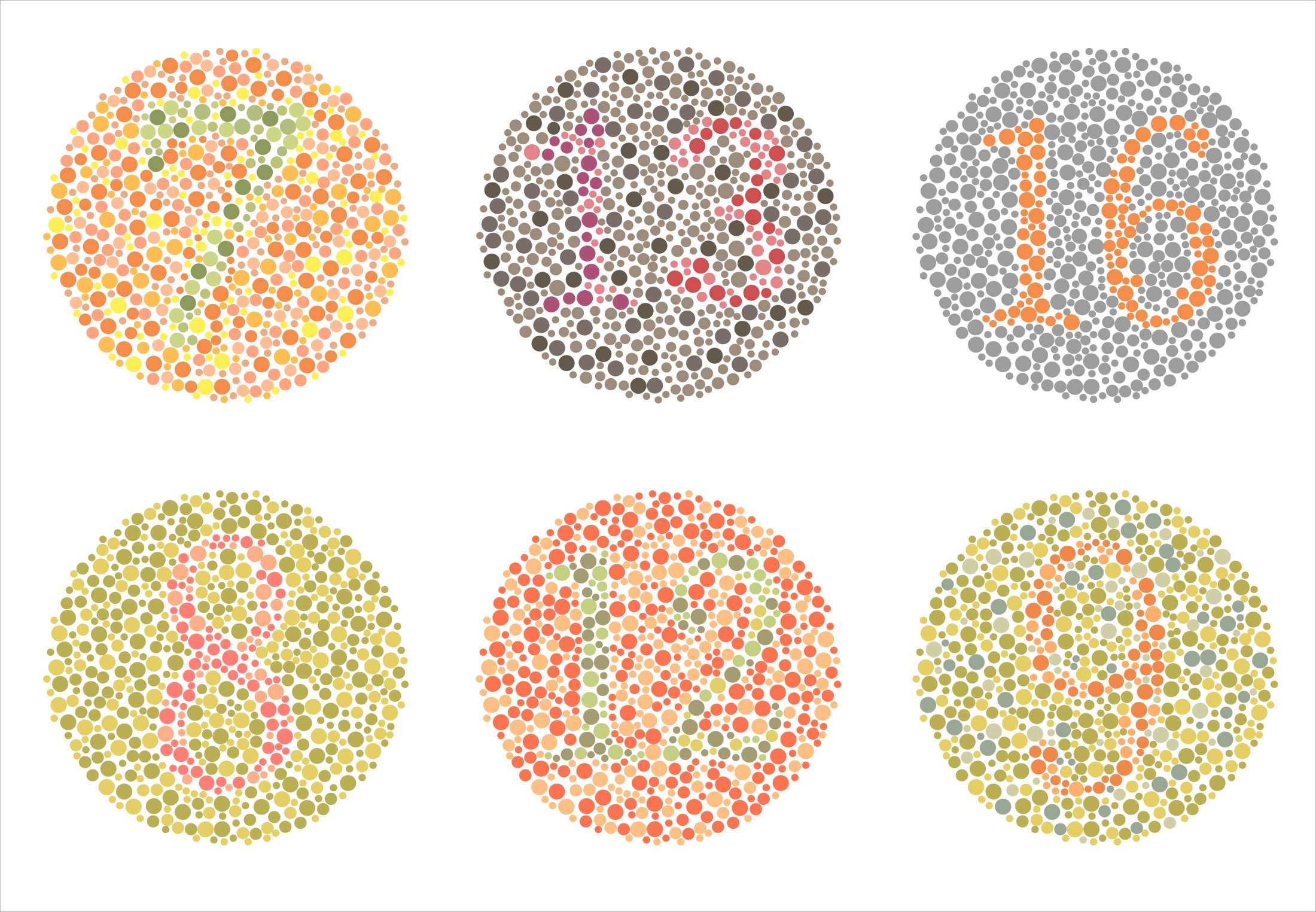 Colour blindness: how does a colour blind person see ...
