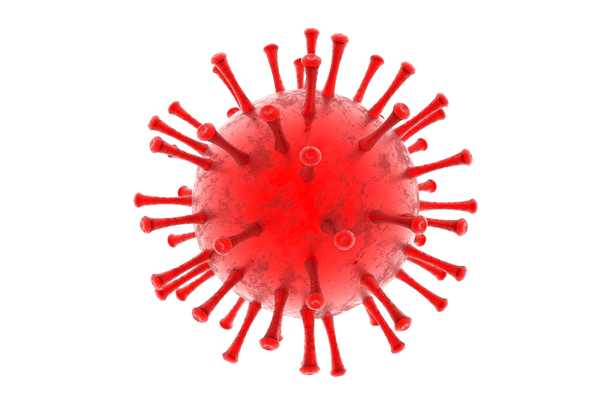 Det visste du inte om livet | illvet.se