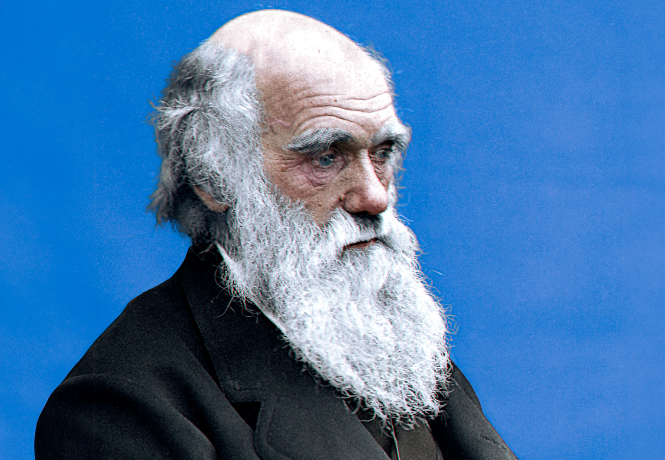 Charles Darwin fick styr på naturens ordning | illvet.se