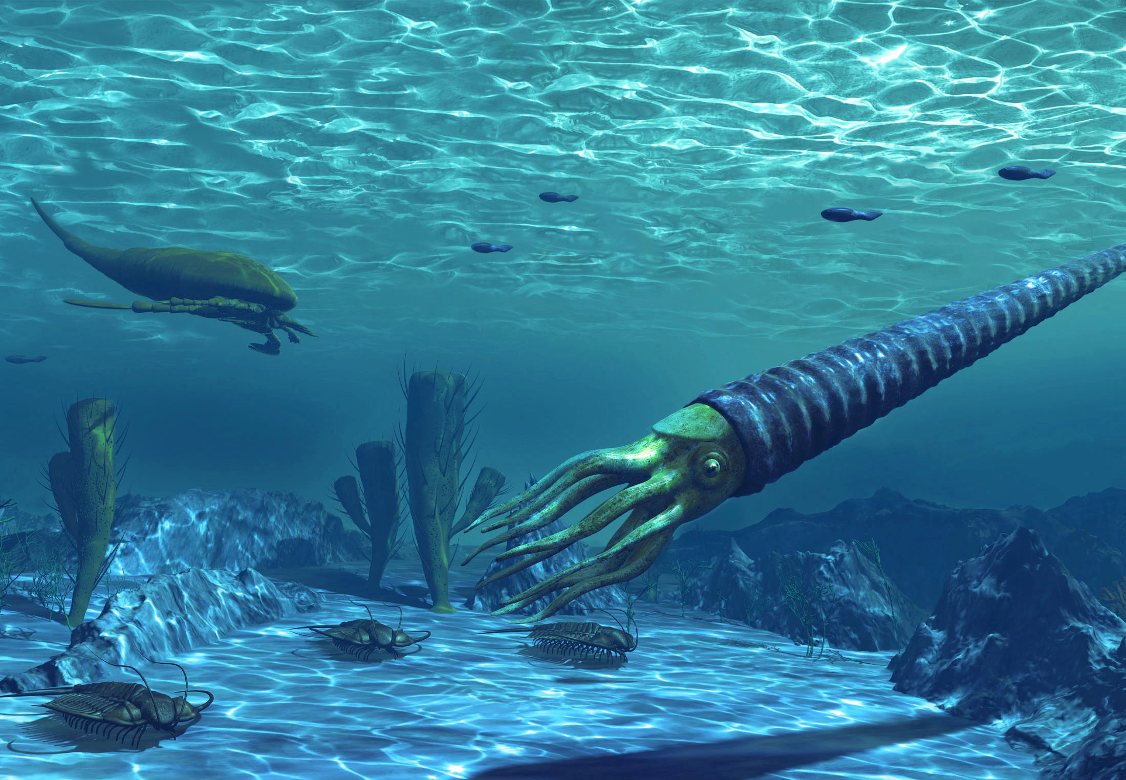 Octopus intelligence is much like ours: Ocean Einstein ...