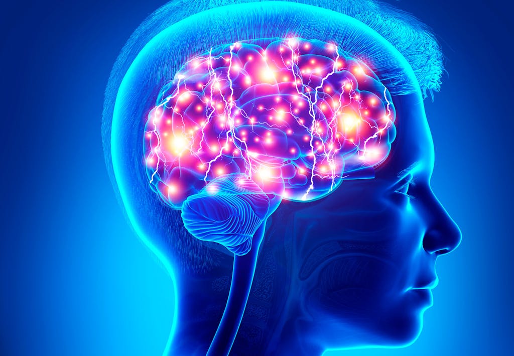 Science Illustrated - explore the world of science | scienceillustrated.com