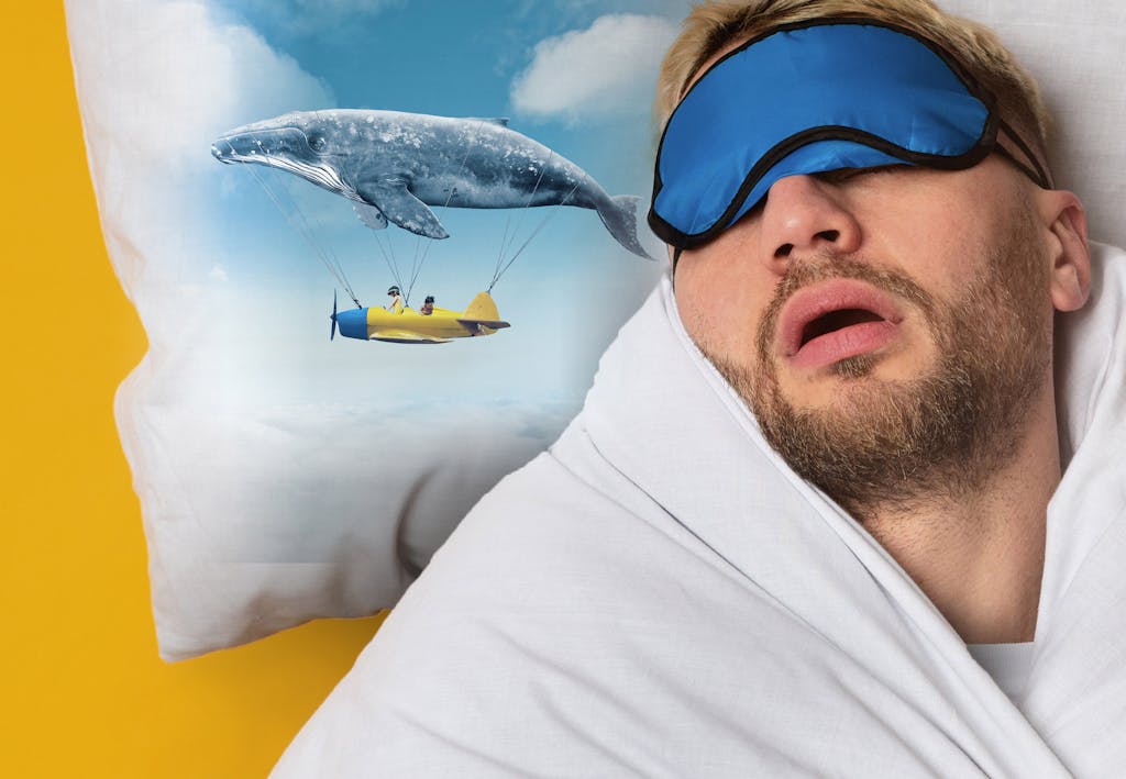 Scientists can control your dreams | scienceillustrated.com