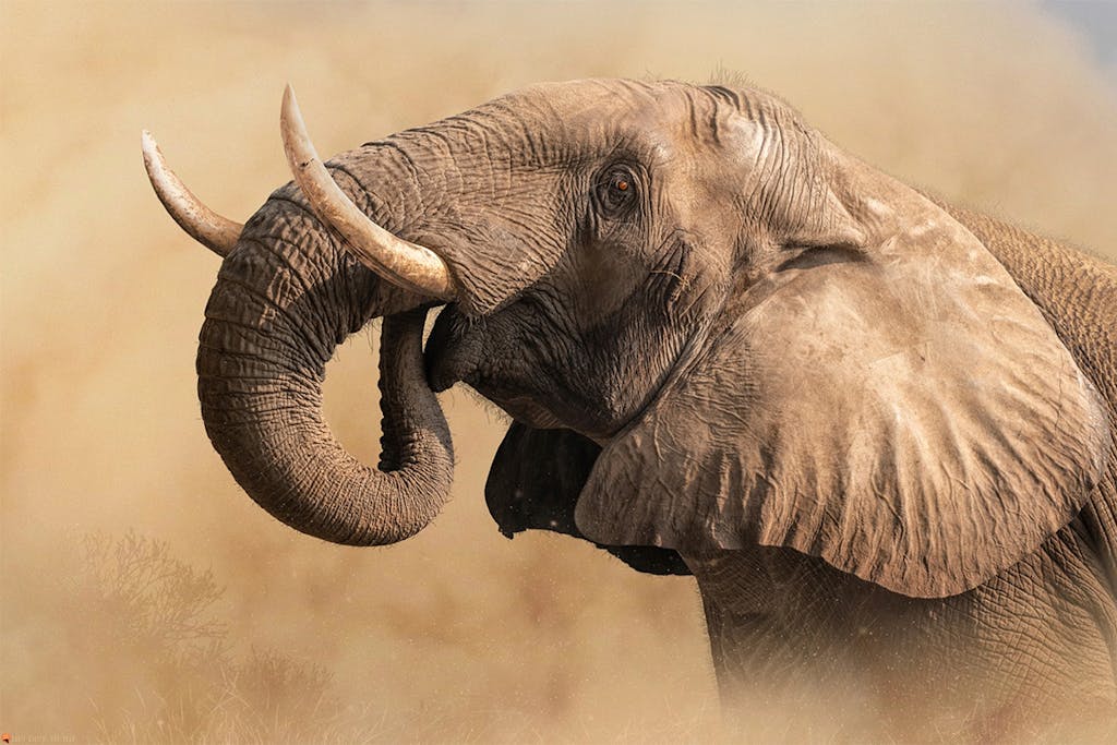 What you did not know about life | scienceillustrated.com