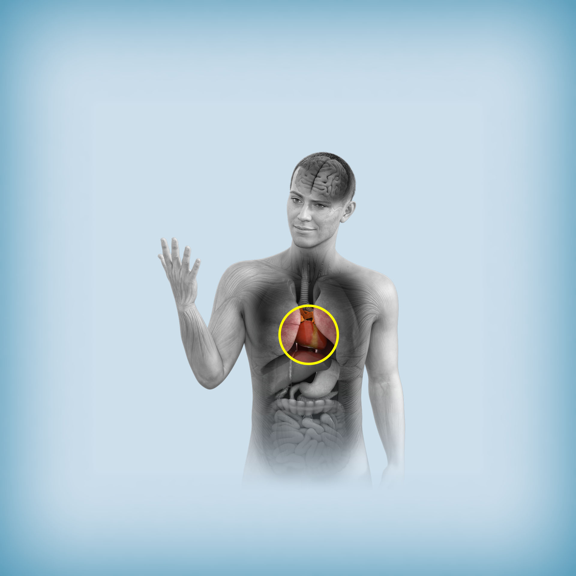 Good genes make you lopsided: love your asymmetry! | scienceillustrated.com