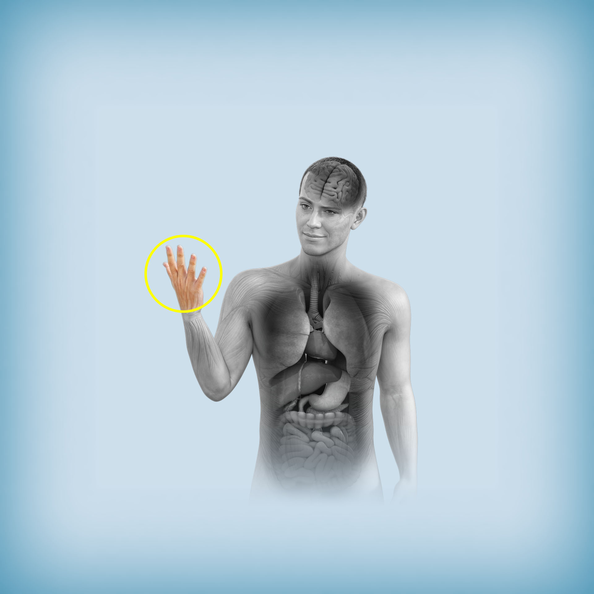 Asymmetriske ansikter er like attraktive | illvit.no